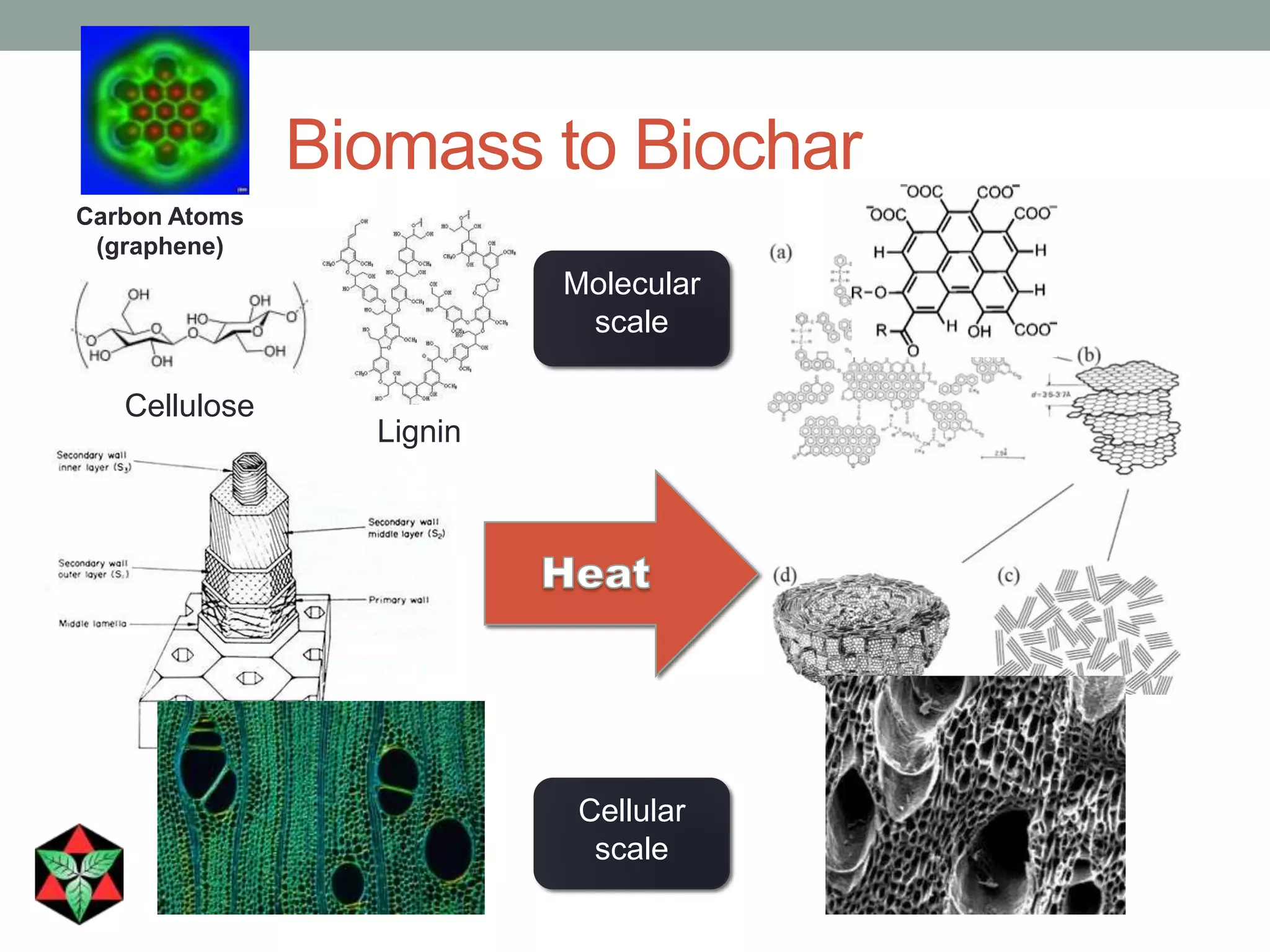 What is Biochar? How Can You Make Money with Biochar? | PPTX