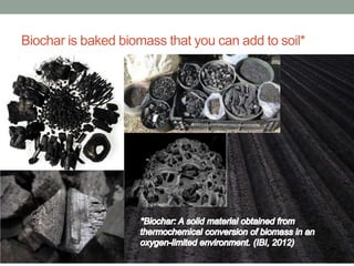 What is Biochar? How Can You Make Money with Biochar? | PPTX