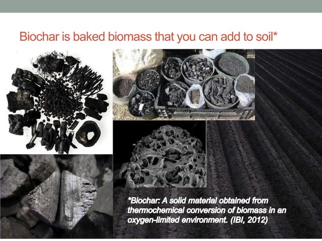 What is Biochar? How Can You Make Money with Biochar? | PPTX