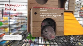 Two Cognitive Architectures for General Intelligence - Cortical ...