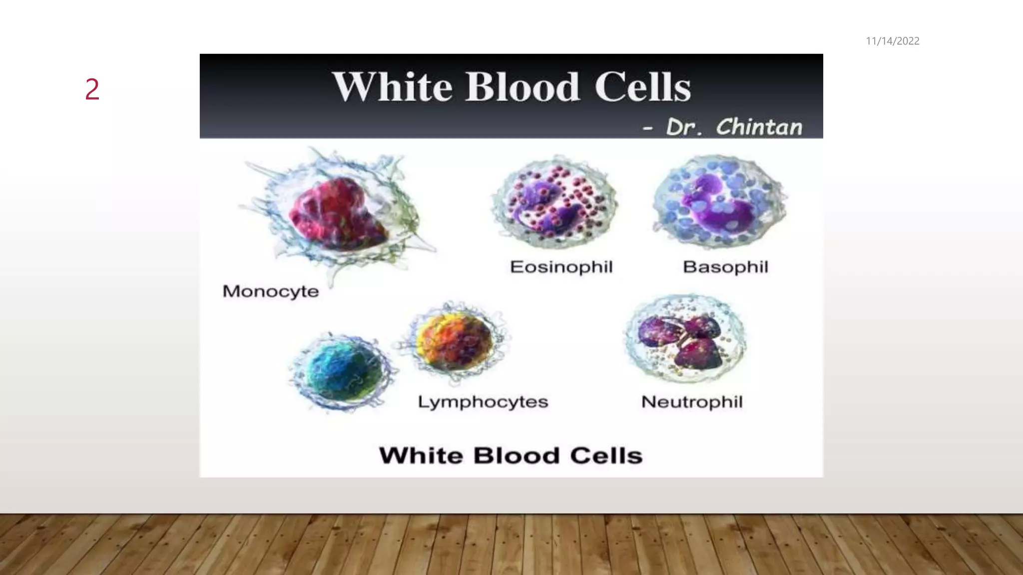 White Blood Cells (WBCs) | PPTX