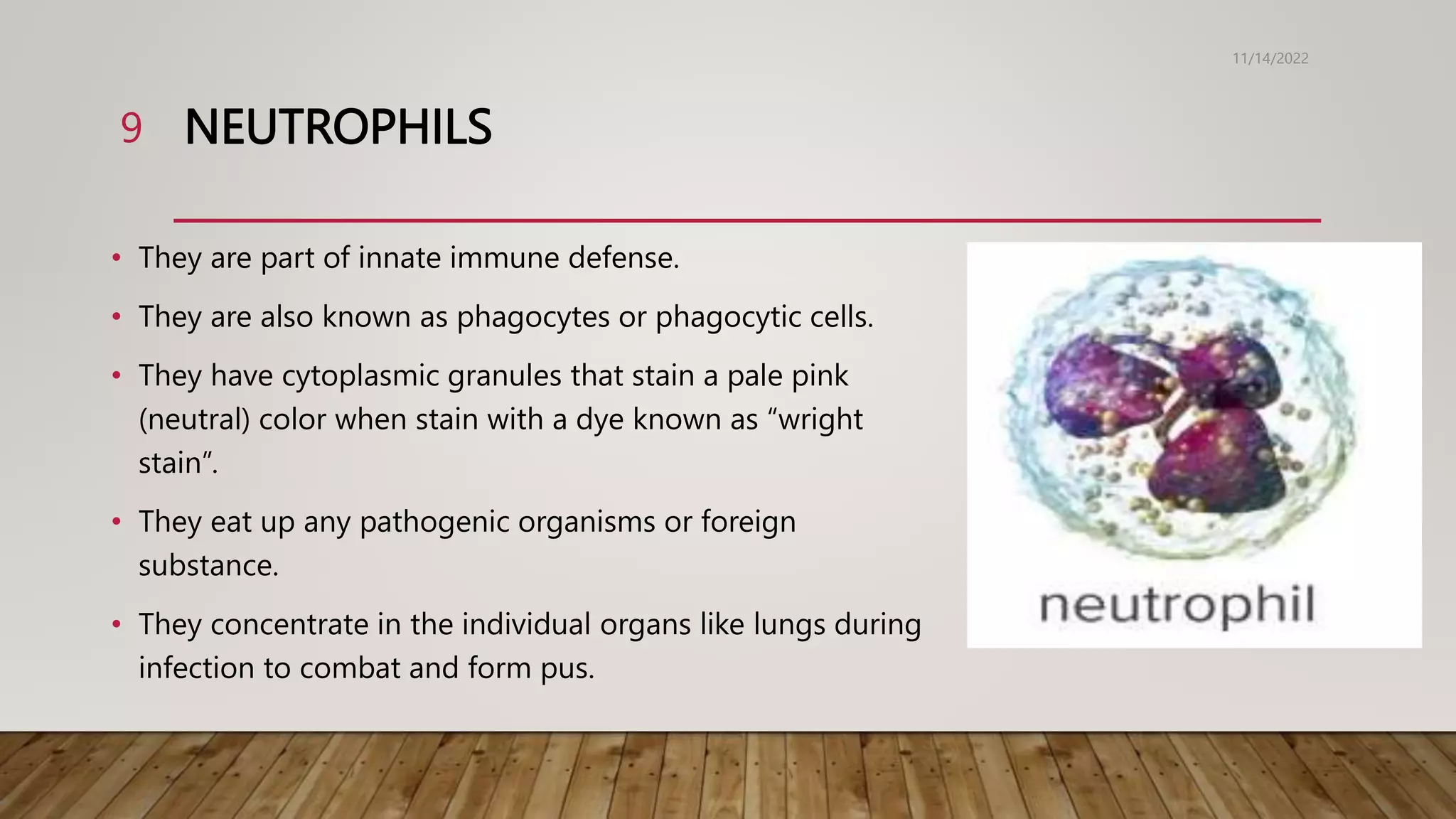 White Blood Cells (WBCs) | PPTX