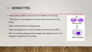 White Blood Cells (WBCs) | PPTX