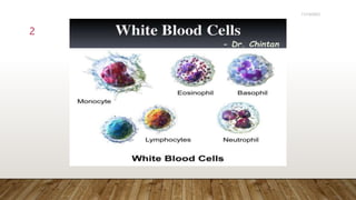 White Blood Cells (WBCs) | PPTX