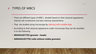 White Blood Cells (WBCs) | PPTX