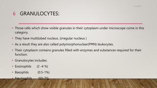 White Blood Cells (WBCs) | PPTX