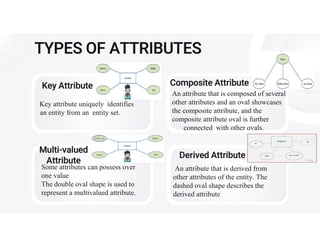 WBC Entity Relationship and data flow diagrams | PDF | Databases | Computer Software and ...