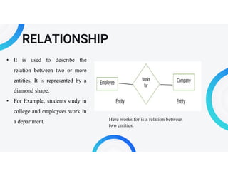 WBC Entity Relationship and data flow diagrams | PDF