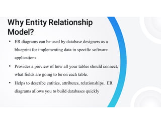 WBC Entity Relationship and data flow diagrams | PDF