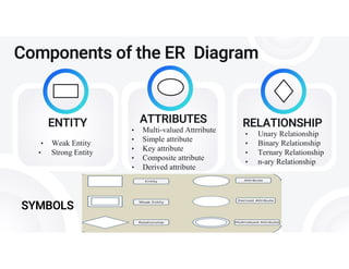 WBC Entity Relationship and data flow diagrams | PDF | Databases | Computer Software and ...