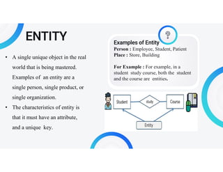 WBC Entity Relationship and data flow diagrams | PDF