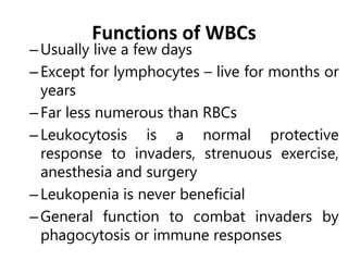 Anatomy and Physiology of WBC, Structure | PPT