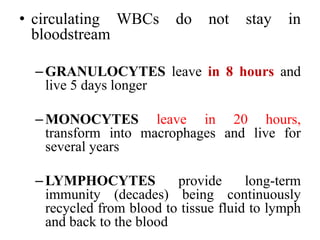 Anatomy and Physiology of WBC, Structure | PPT