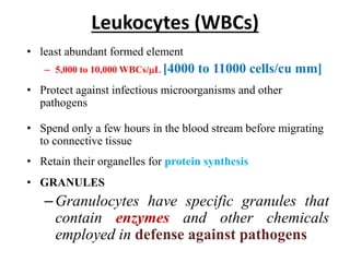 Anatomy and Physiology of WBC, Structure | PPT