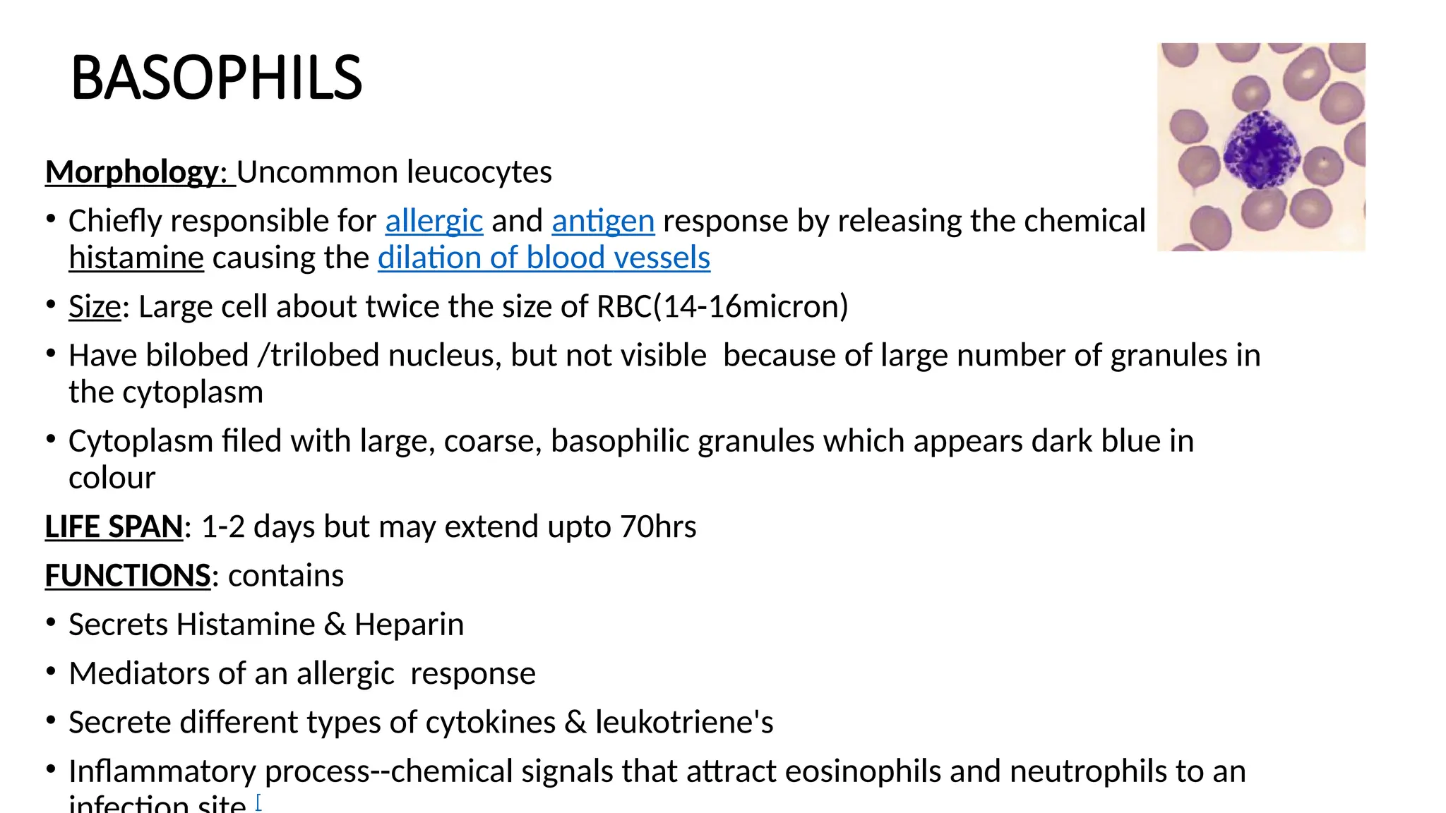 WBCells presentation physiology and anatomy | PPTX