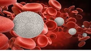 WBCells presentation physiology and anatomy | PPTX