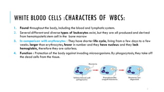 White blood cells physiology counting the white cells | PDF