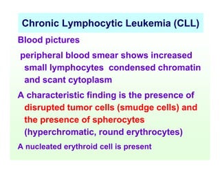 Wbc disoders practical | PDF