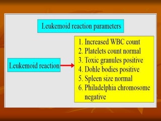 WBC DISORDERS.ppt………………………………………………………….. | PPT