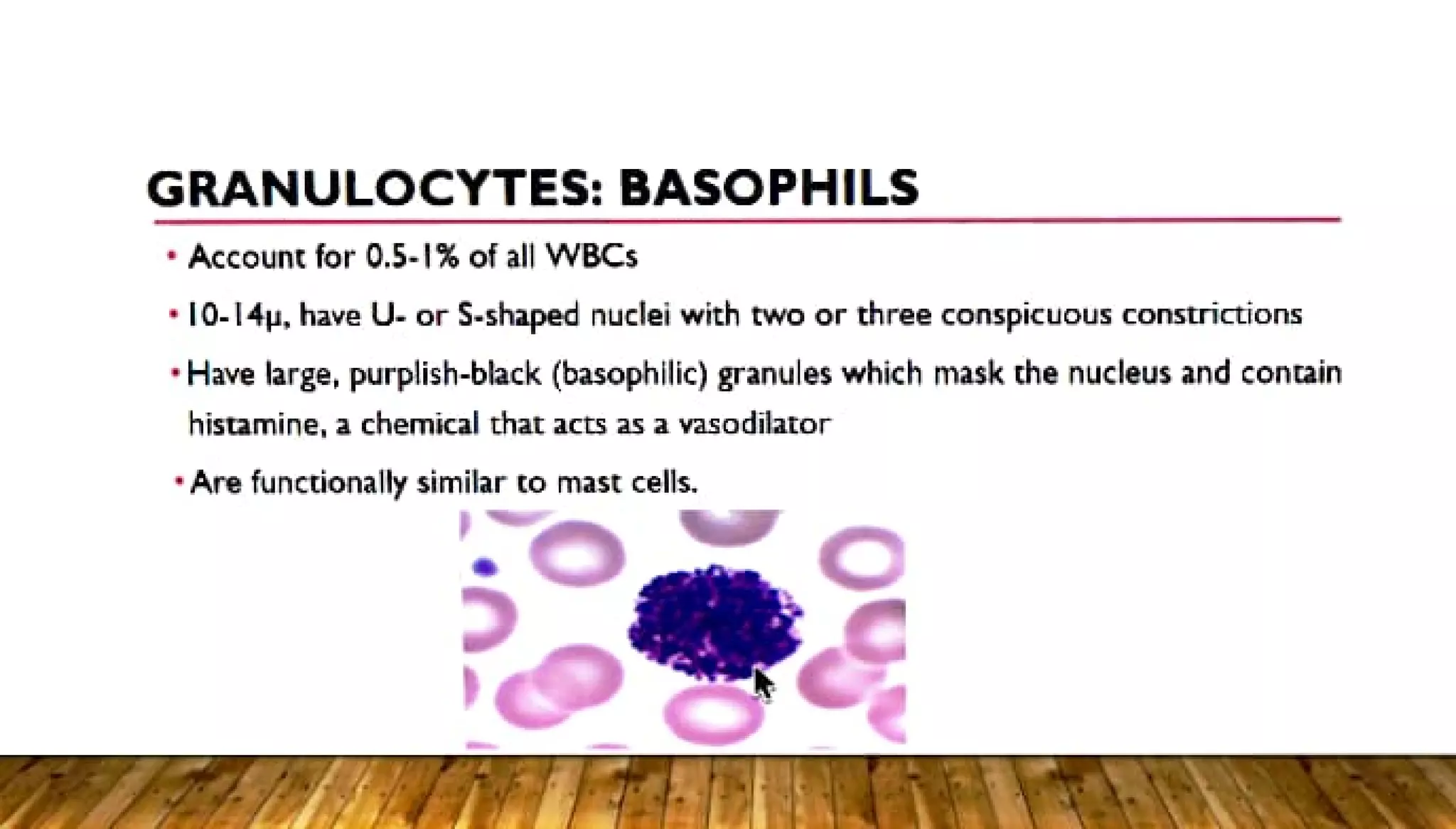 Wbc disorders 1 pathology | PDF | Blood Disorders | Diseases and Conditions
