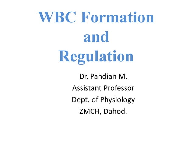 WBC formation and regulation.pptx