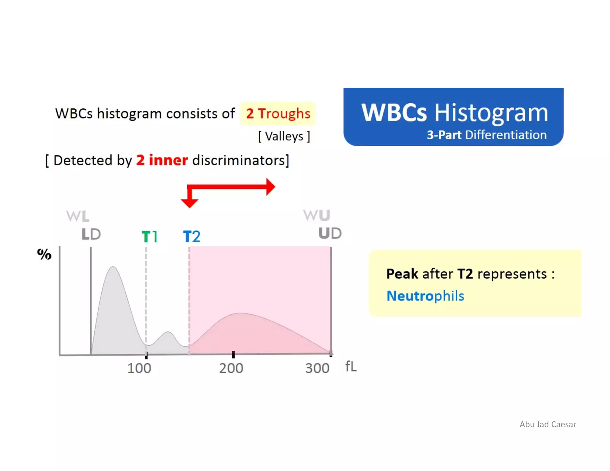 WBC Histogram | PDF