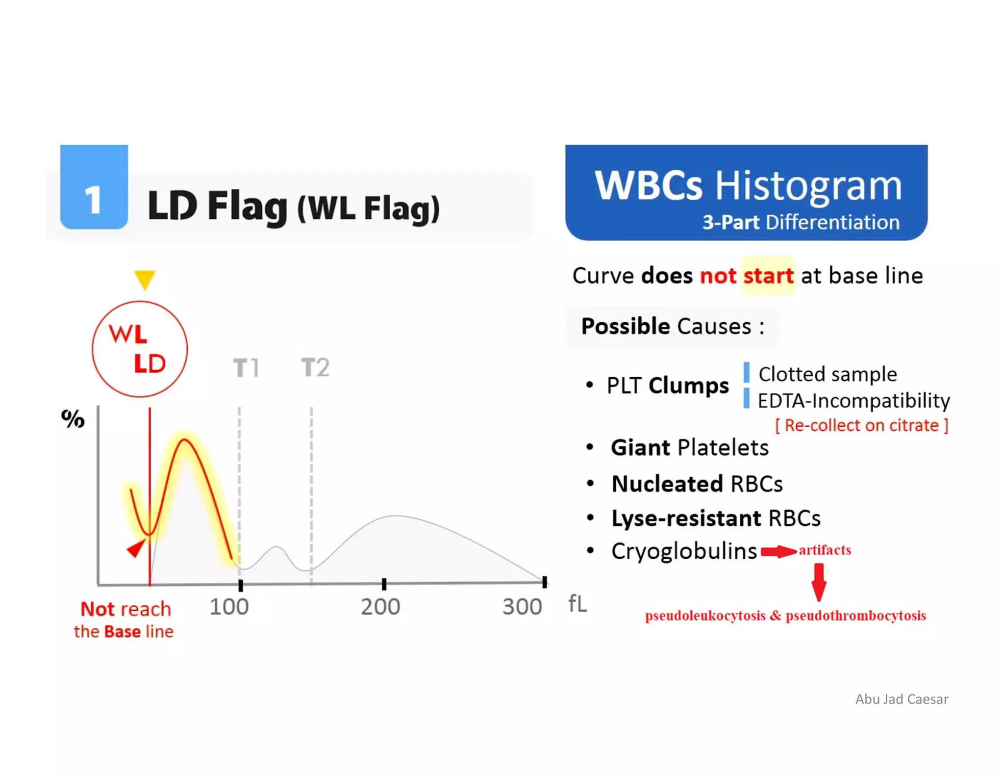 WBC Histogram | PDF