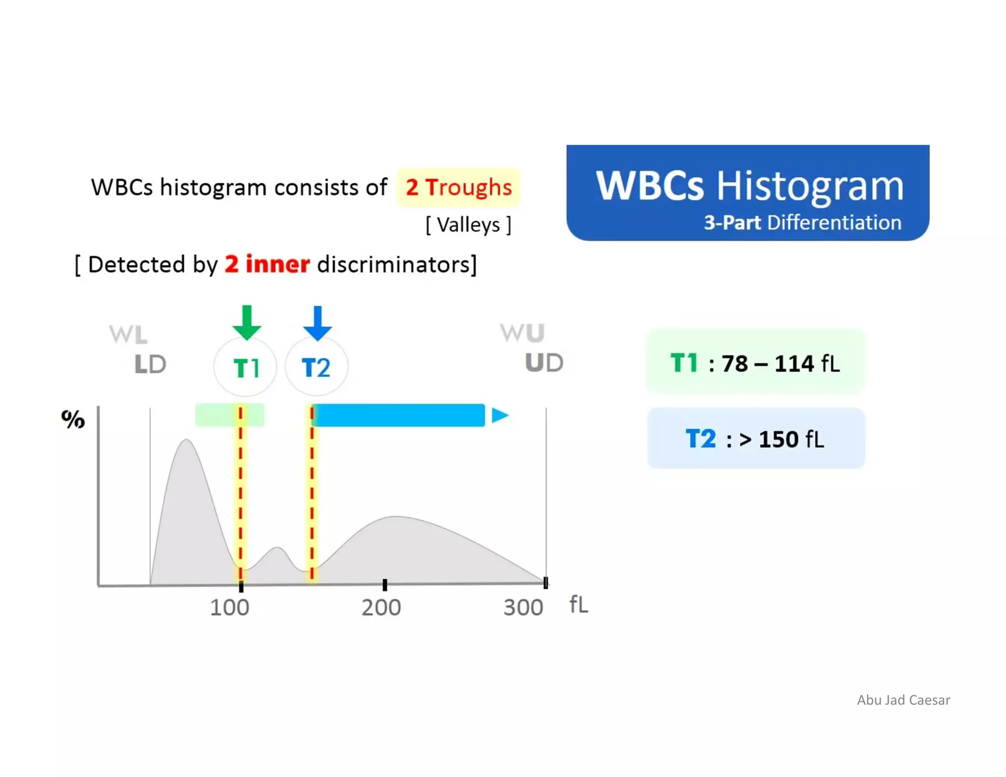 WBC Histogram | PDF