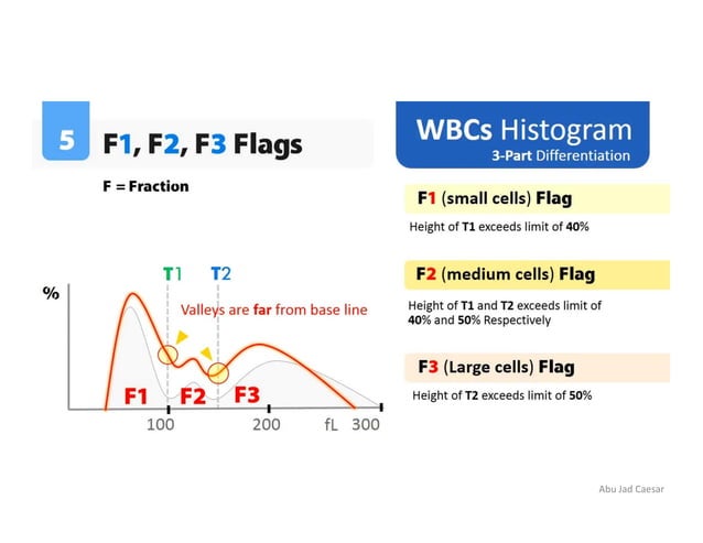 WBC Histogram