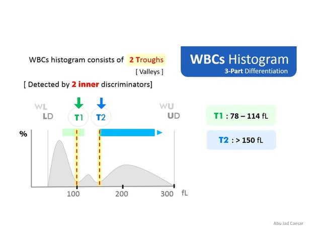 WBC Histogram
