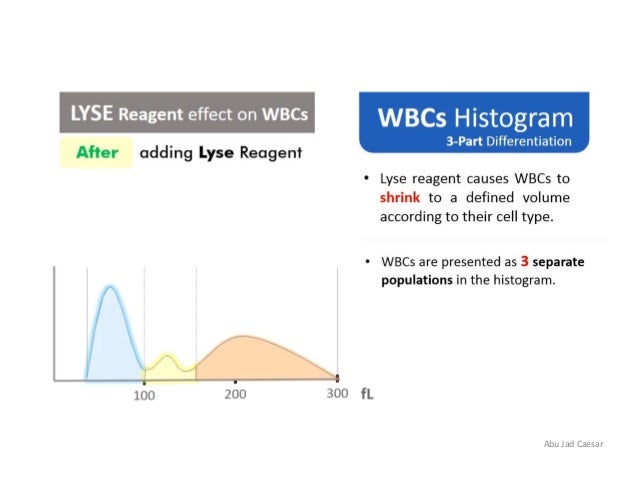 Wbc Histogram