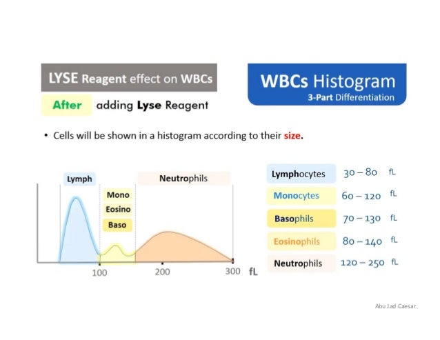 WBC Histogram