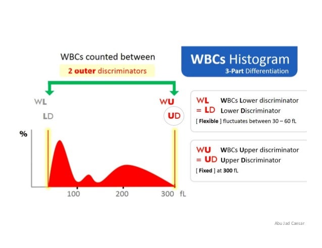 WBC Histogram