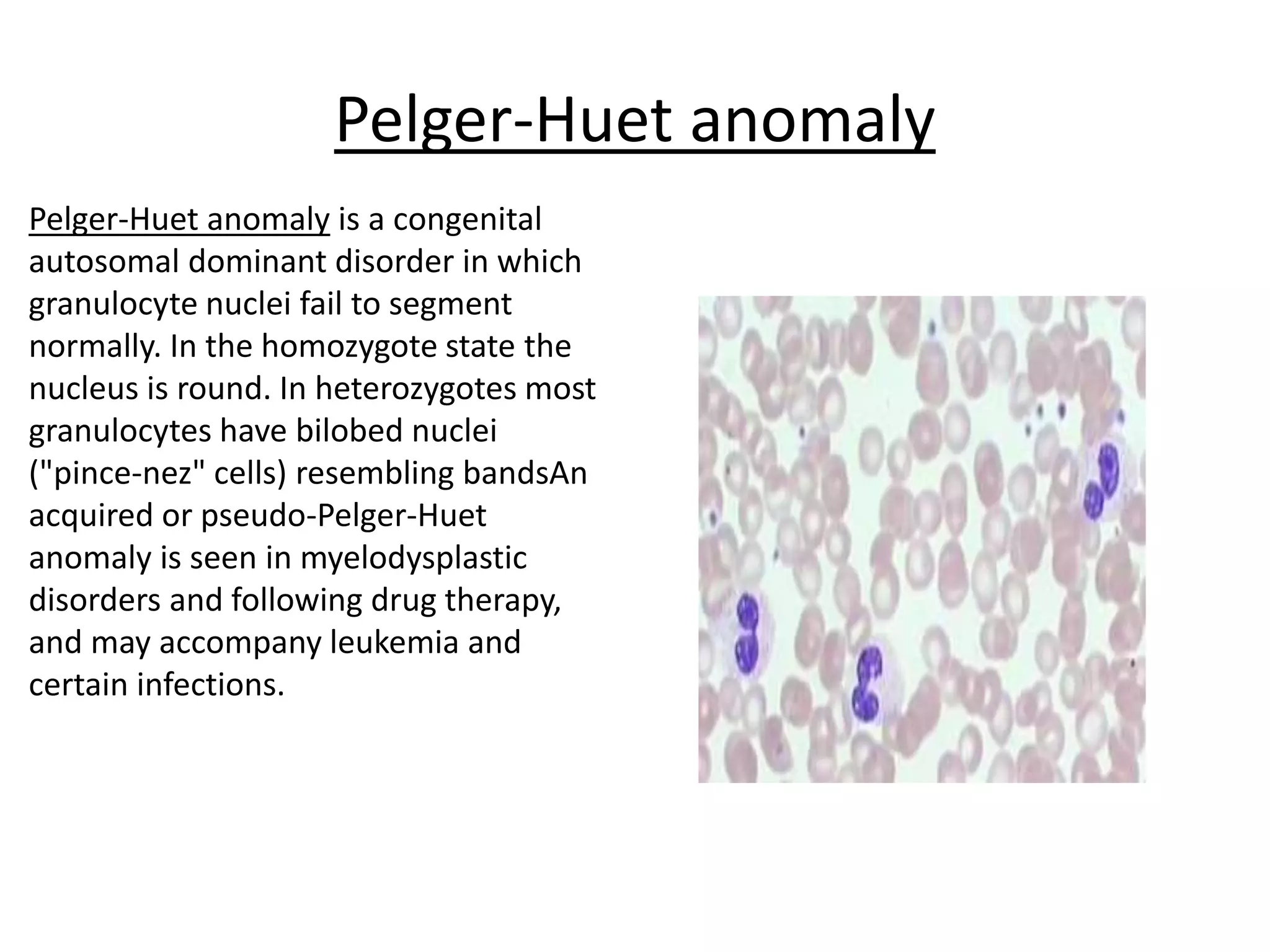 WBC normal and abnormal final.pptx