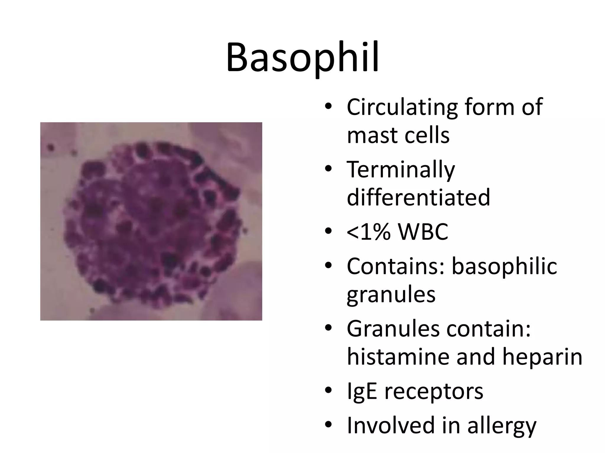 WBC normal and abnormal final.pptx
