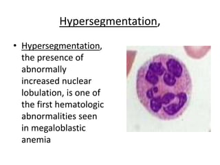 WBC normal and abnormal final.pptx