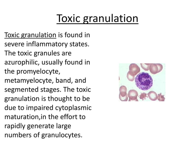 WBC normal and abnormal final.pptx
