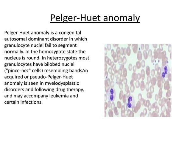 WBC normal and abnormal final.pptx
