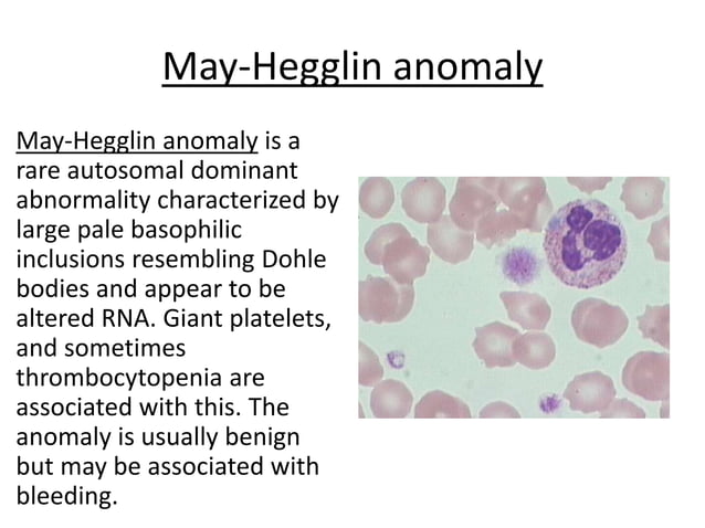 WBC normal and abnormal final.pptx