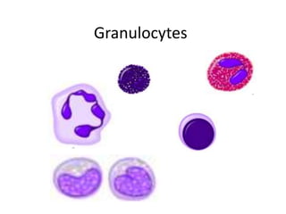 WBC normal and abnormal final.pptx