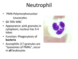 WBC normal and abnormal final.pptx