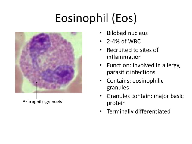 WBC normal and abnormal final.pptx
