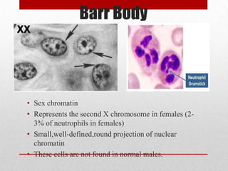 Wbc & platelets anomalies | PPTX