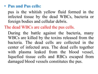 Wbc ppt | PPTX