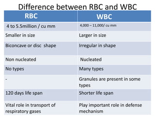 Wbc ppt | PPT