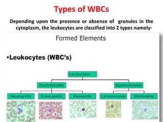 Wbc ppt | PPTX