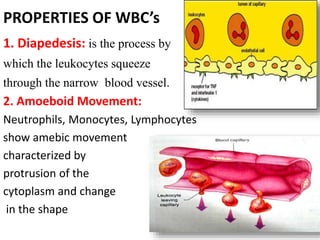 Wbc ppt | PPT