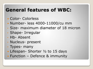 LEUKOPOIESIS (WBC FORMATION) & Its REGULATION with CLINICAL IMPORTANCE ...