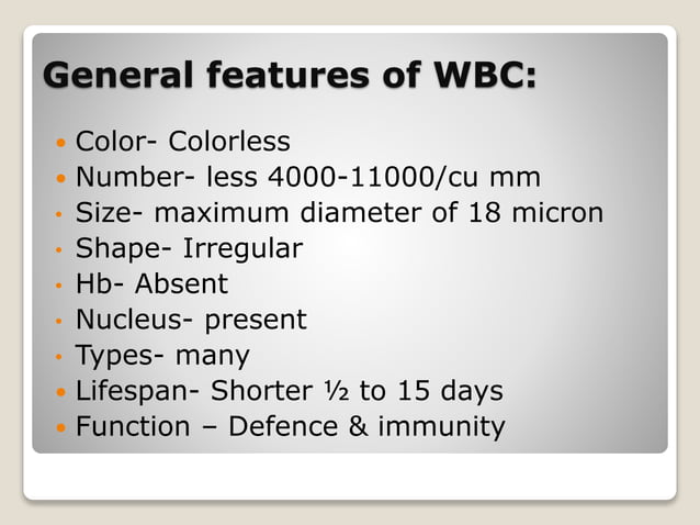 LEUKOPOIESIS (WBC FORMATION) & Its REGULATION with CLINICAL IMPORTANCE ...