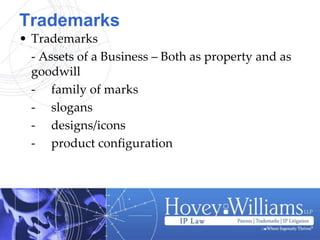 Intellectual Property Isues | PPTX